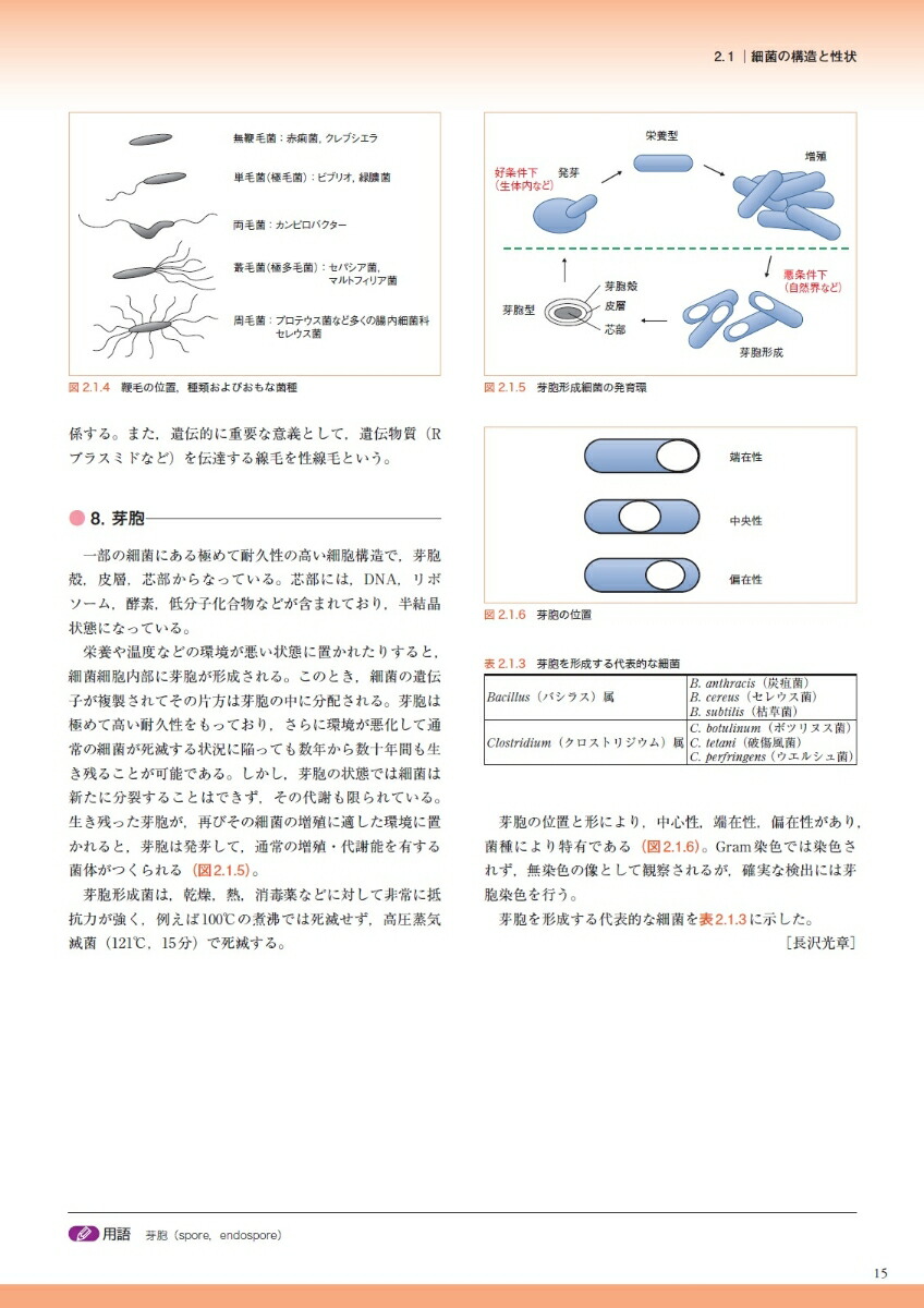 楽天ブックス 臨床微生物検査技術教本 第2版 一般社団法人 日本臨床衛生検査技師会 9784621308820 本